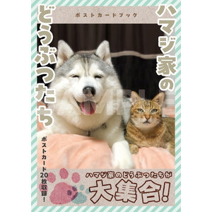 まるさんより癒しのお届け物です。 I am Maru. ポストカード まるさんより癒しのお届け物です。 I am Maru. ポストカード